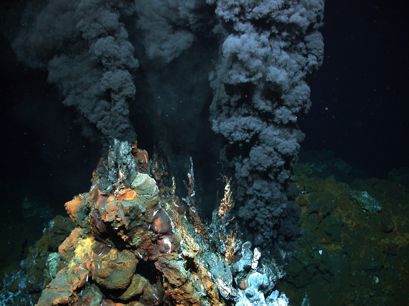 3.42 billion-year-old fossilized microbes in an ancient hydrothermal ...