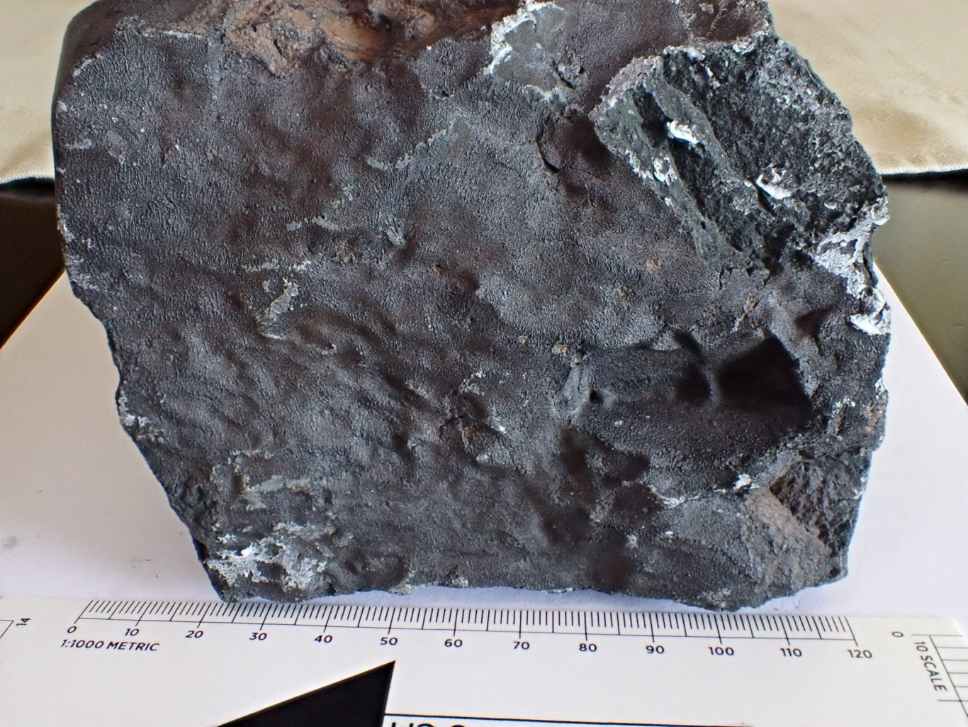 A detailed look at a rare meteorite – Sciworthy