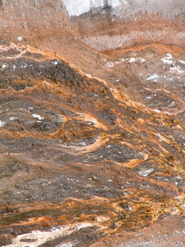 Ancient bacteria leave behind fossils, too! - Sciworthy