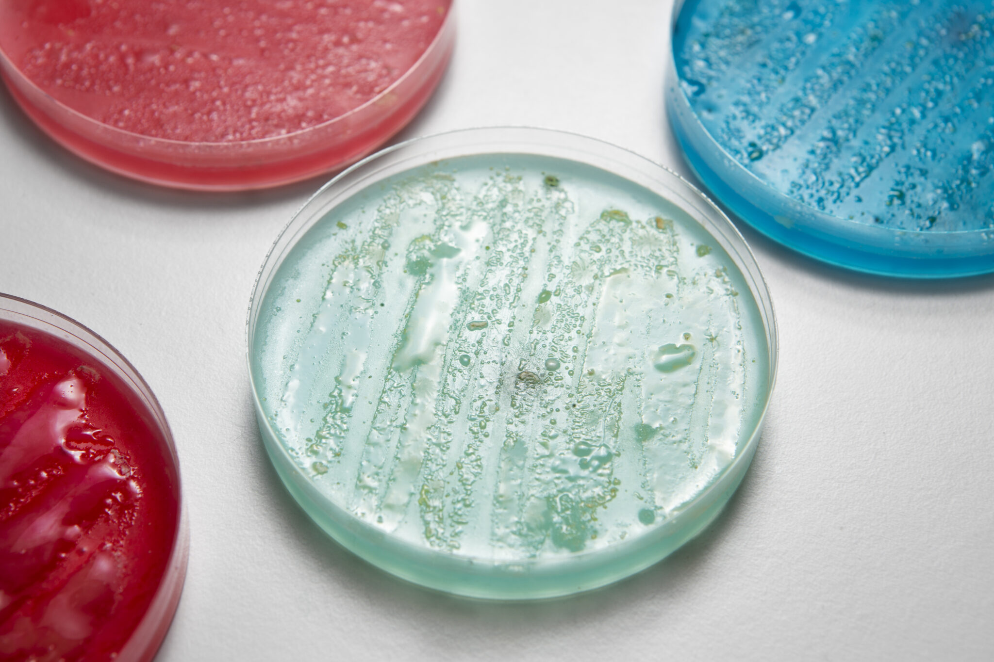 Sciworthy - The Encyclopedia of Science's Frontier